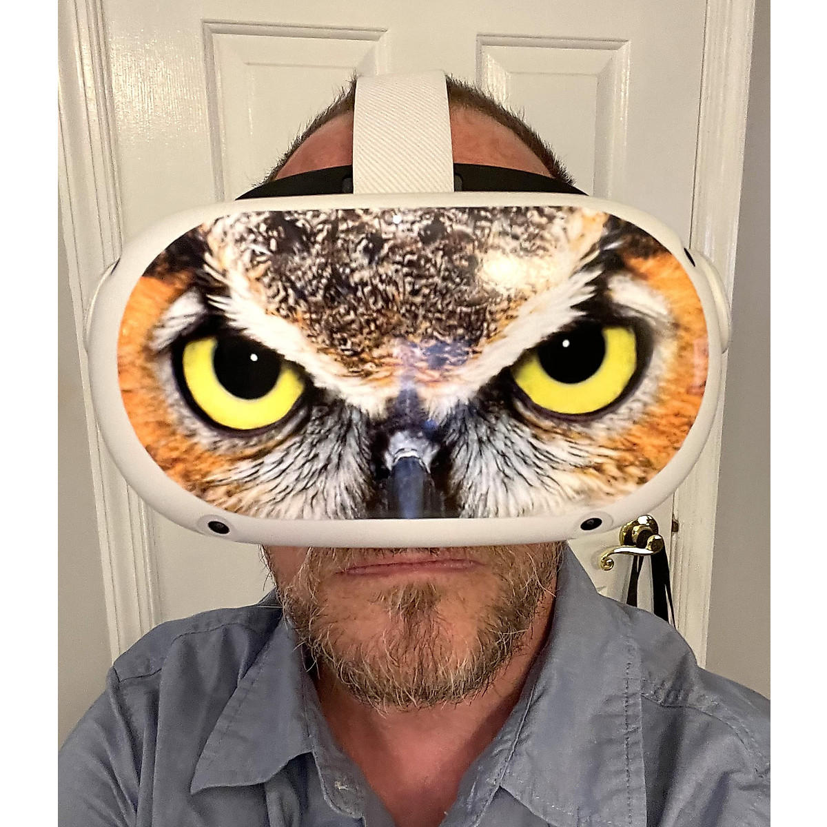 Owl Decal for Meta/Oculus Quest 2 VR Headset - Glossy Vinyl Sticker