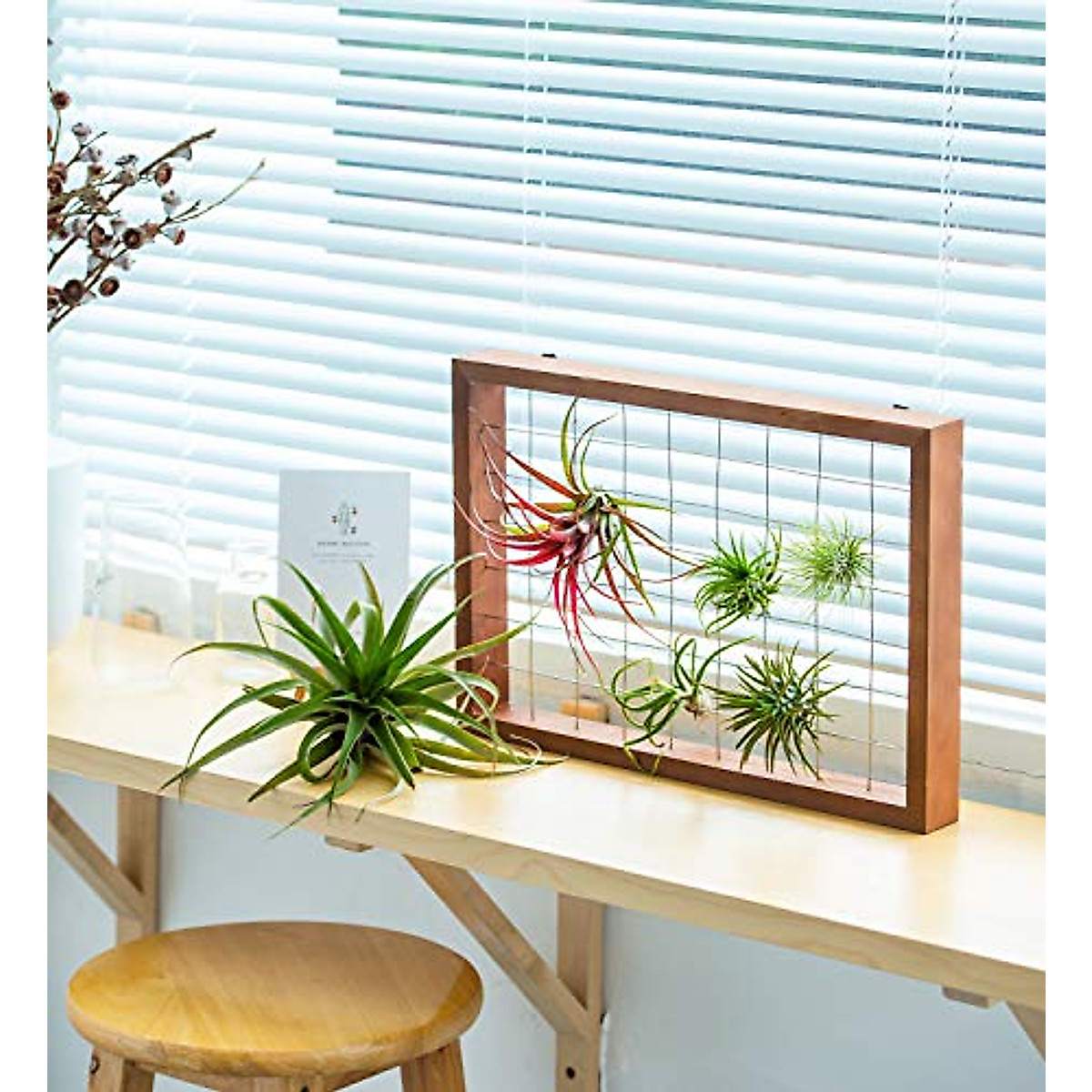 Mkono Air Plant Frame Hanging Airplant Holder Tillandsia Display Hanger Wooden Shelf Wall Decor for House Plants, Succulent, Christma Gifts for Plant Lovers, 16" (Plant Not Included)