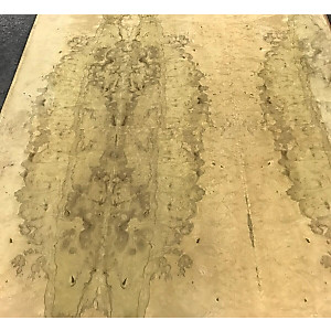 Myrtle Laurel Burl Wood Veneer Sheet 24" x 48" on Paper Backer 1/40" Thick AA