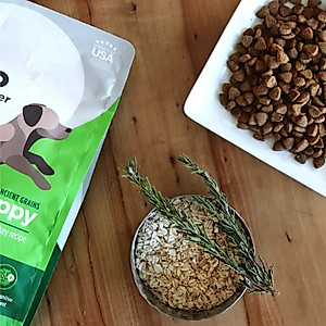 Nulo Frontrunner All Breed Puppy Food, Premium Dry Small Kibble Puppy Food, Ancient Grains Promote Fullness with BC30 Probiotic & DHA to Boost Cognitive Development