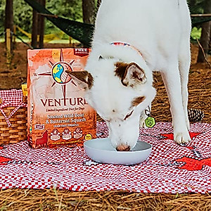 Venture Smoked Wild Boar & Butternut Squash Limited Ingredient Dry Dog Food
