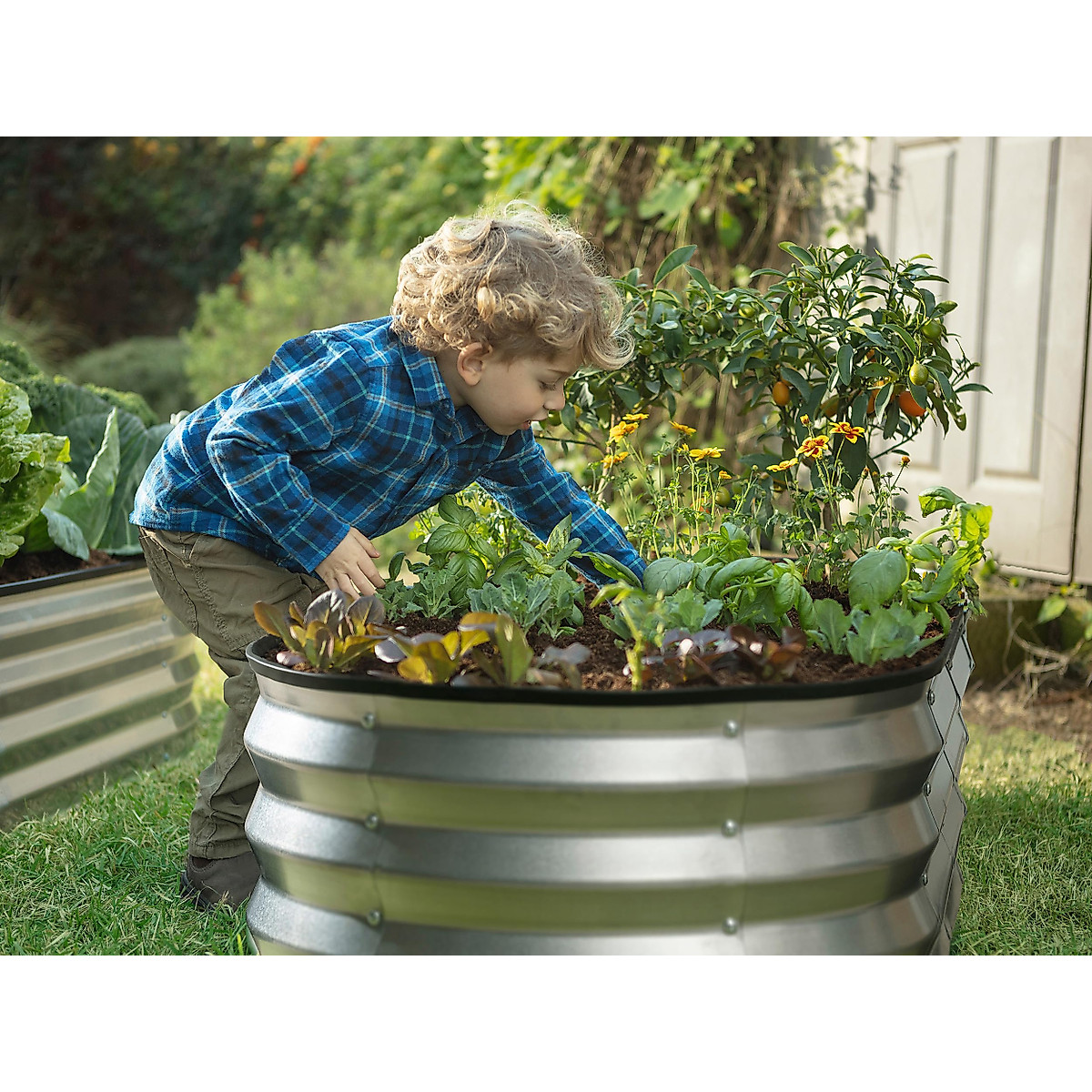 Galvanized Raised Garden Beds Outdoor // 4×2×1 ft Planter Raised Beds for Gardening, Vegetables, Flowers // Large Metal Garden Box (Silver)