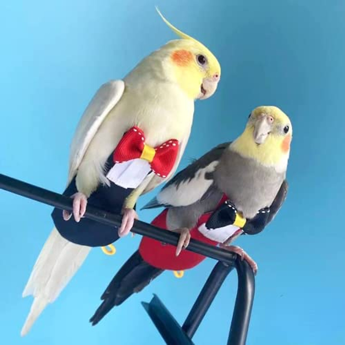 Bird Diaper Harness Flight Suit Clothes with Flying Leash for Parrots Cockatiel Pet Birds, Parrot Clothes, Bird Training Nappy Suit Liners Clothes (L, Black)