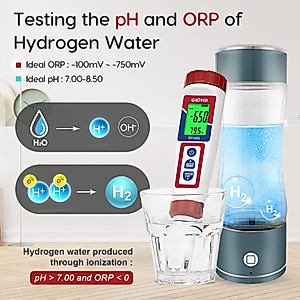 Hydrogen Tester, GIDIGI pH Meter, Digital pH TDS Meter for Water, Accurate ORP Meter, 4 in 1 pH H2 ORP Temp Test kit for Hydrogen Water Bottle, Hydrogen Water ppb/ppm Tester with ATC