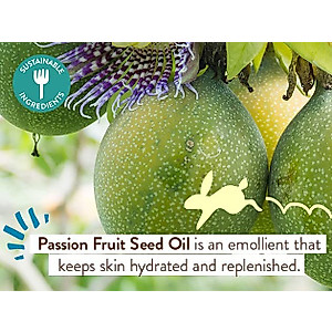 Babo Botanicals Daily Sheer Tinted Mineral Sunscreen Fluid SPF50 - Natural Zinc Oxide - Passion Fruit Oil - Golden-Hued Tint - Fragrance Free - Ultra-Lightweight - For Face - For all ages