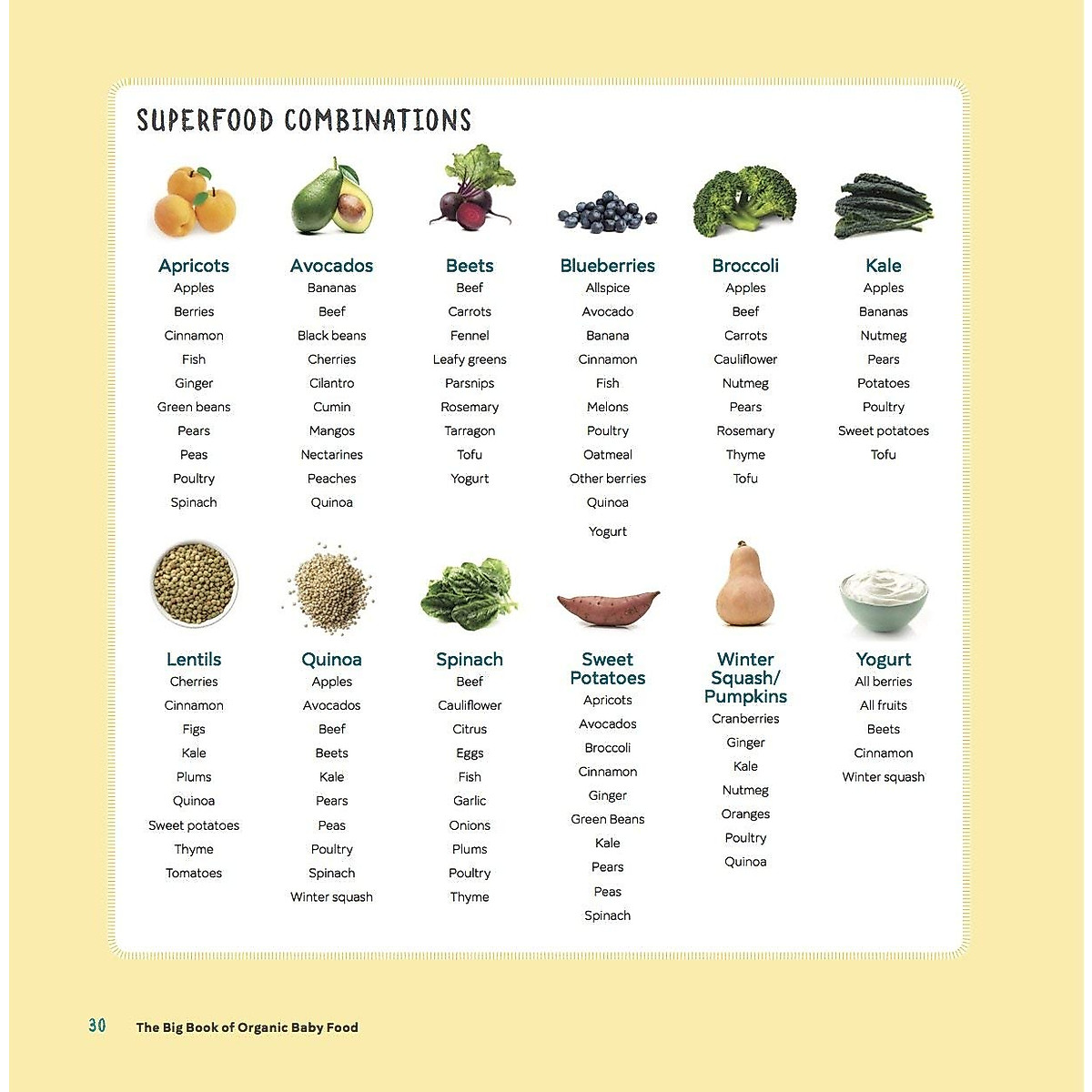 The Big Book of Organic Baby Food: Baby Purées, Finger Foods, and Toddler Meals For Every Stage