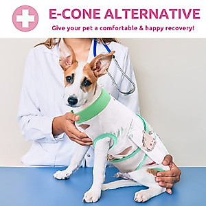 KOESON Dog Recovery Suit, Spay Suit for Female Dogs with Pee Hole Pet Surgical Recovery Suit Dog Cone Alternative, Dog Surgery Recovery Suit Anti Licking Pet Bodysuit for Abdominal Wound Hedgehog XS