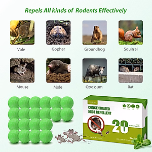 MAGIC CAT Rodent Repellent 20 Pack, Natural Peppermint Oil to Repel Mice & Rats for House Pet Family Safe, Rat Deterrent Mouse Stopper for Closet Garage Boat Car RV Truck Indoor Outdoor Rodent Control