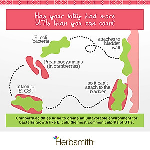 Herbsmith Bladder Care- Bladder Support for Cats- Urinary Tract Cat Supplement – Maintains Kidney Health for Cats– 75g