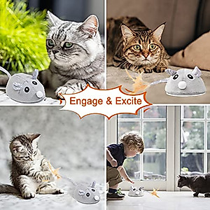 Interactive Cat Mouse Toy, Automatic Cat Toys with Feather Tail, Realistic Mouse Cat Toy Simulates Kitten Toys Self Play, Cat Toys Pet Exercise Toys with USB Charging