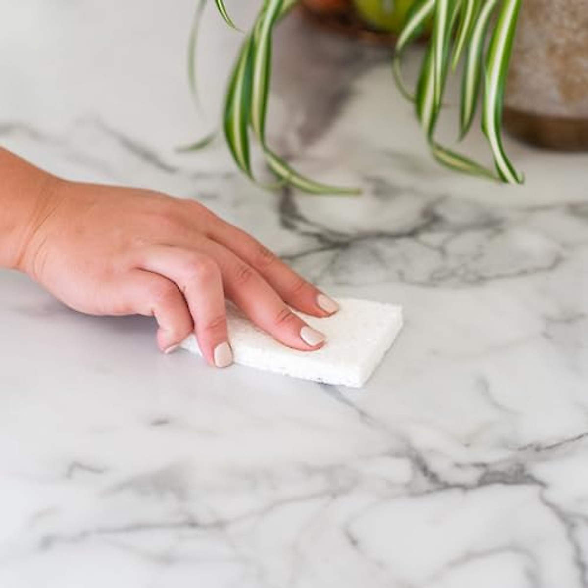 Full Circle Plain Jane Plant-Based Cellulose Sponge, Natural