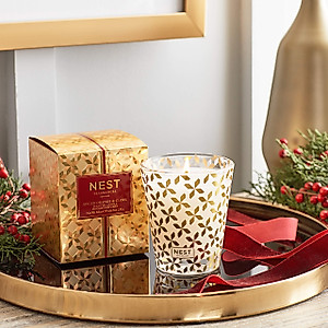 NEST Fragrances Spiced Orange & Clove Classic Candle
