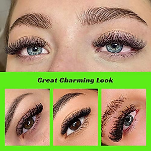 500 Premade Fans Eyelash Extensions 8-15mm Mixed Length Promade Lash Fans C/D Curl Premade Fans Pointed Thin Base Handmade Volume Premade Lash Extensions Fans(10D,0.07-D-8-15MM)