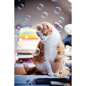 Kitty Love Bubbles: 2 Pack 4oz Bottles of Catnip Scent Bubbles for Cats, Non-Toxic and Allergen-Free, Bring Out Your Cat's Inner Hunter with Hours of Fun and Exercise