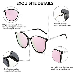 Dollger Polarized Cat Eye Sunglasses for Women Trendy mirrored Oversized UV Protection Fashion 90s Sunglasses PINK Shades