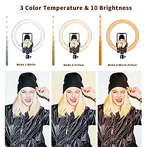 Ring Light 10" with 67" Extended Tripod Stand & Phone Holder for YouTube Video, Camera Led Ring Light for Streaming, Makeup, Selfie Photography Compatible with iPhone Android