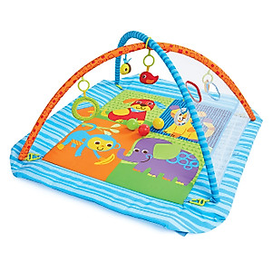 Bruin 2 in 1 Playgym