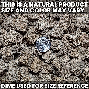 San Francisco Bay Brand Freeze-Dried Tubifex Worms 0.92-Ounces (26-Grams) Jar