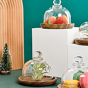 KVMORZE Mini Glass Dessert Dome with Base, Small Decorative Cake Tray with Glass Dome Cover, Cake Fruit Display Server Tray for Kitchen/Birthday/Party/Wedding, Appetizer Dessert Cheese Serving Platter