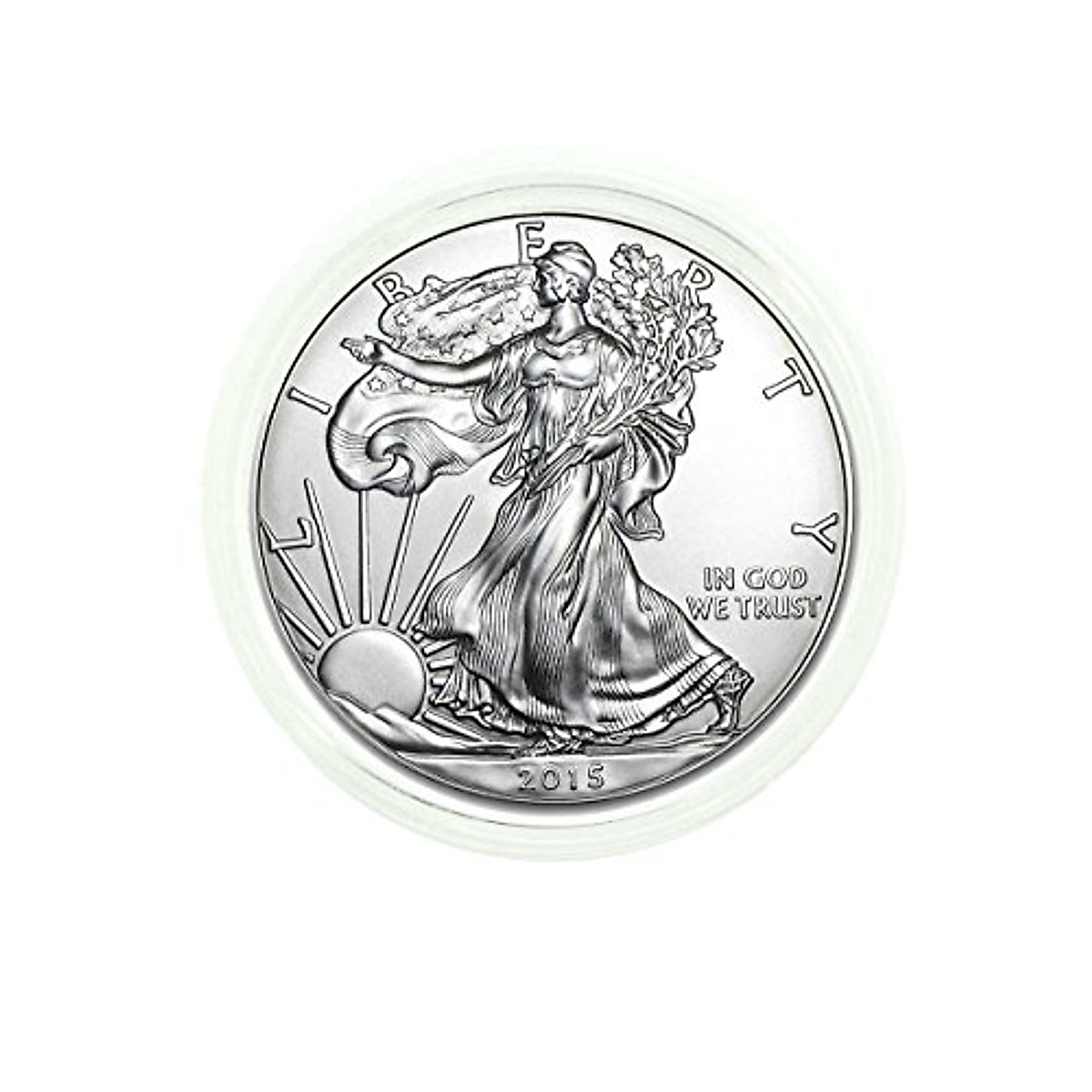 2015-1 oz American Silver Eagle in Direct Fit Air Tite with our Certificate of Authenticity Dollar Uncirculated Us Mint