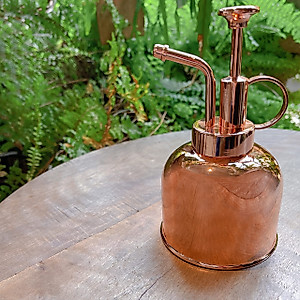 LOOPSEED Stainless Steel Plant Mister Spray Bottle Watering Can for Indoor Plants Succulent Bonsai Garden Spray Houseplant Spritzer Modern Garden Tools 10oz/300ml (ROSE GOLD)