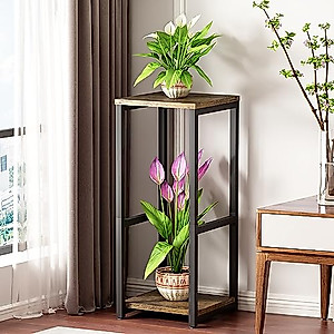 YIZAIJIA Plant Stand Indoor Corner Tall 2 Tier Metal Modern Flower Storage Plant Shelf Holder for Living Room Balcony Garden,Black (2 Tier-Black)