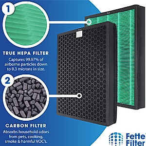 Fette Filter - Replacement True HEPA Air Purifier Filter Set Compatible with Coway Airmega MAX 2 300/300S Smart. Compare to Part # 3111635 - Pack of 2