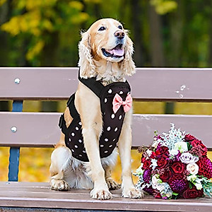 Queenmore Dog Chest Protective Shirt, Belly Clothes to Keep Warm and Keep Chest Clean, Waterproof Adjustable Breathable Apparel for Male Female Dogs, Black S