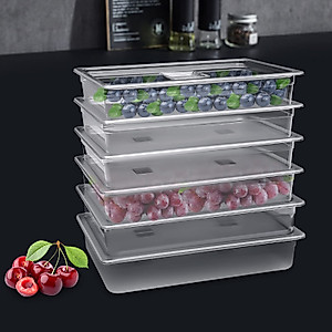 Fichiouy 4'' Deep 6 Pack Food Pans with Lids, Polycarbonate Clear Fruit Storage Pan Large Capacity 6pcs/set Food Pans Take Out Container