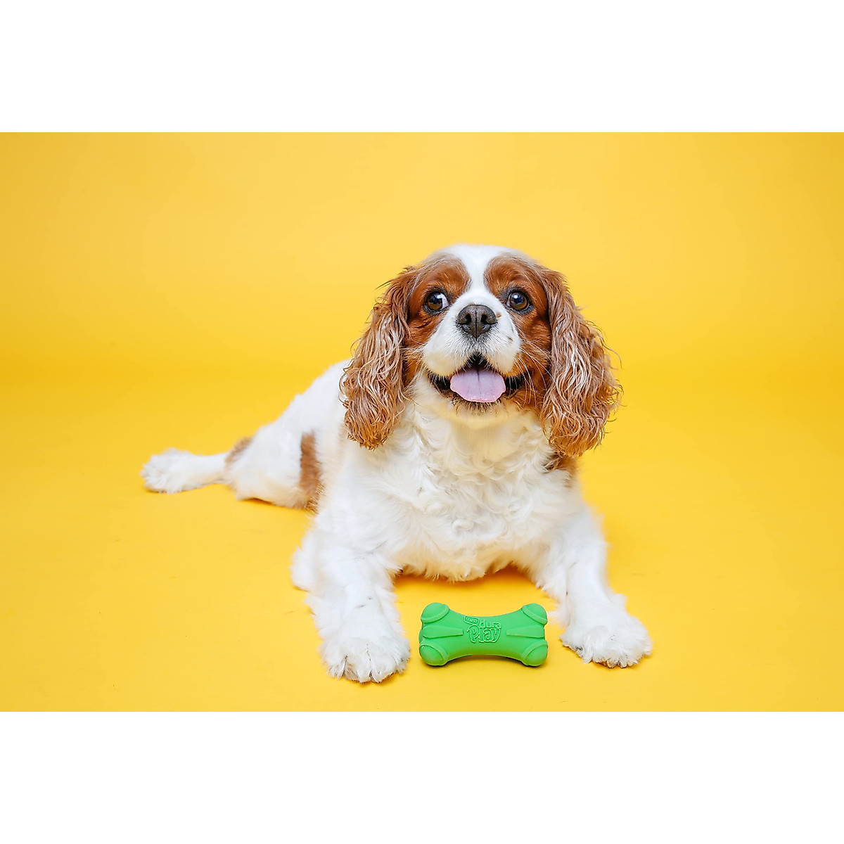 Hartz DuraPlay Bone Squeaky Latex Dog Toy for Medium Breeds, 3 Pack