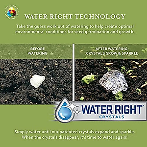 Zinnia Mix from Earth Science (2 lb), 3-in-1 Mix with Premium Wildflower Seed, Plant Food and Soil Conditioners, Non-GMO