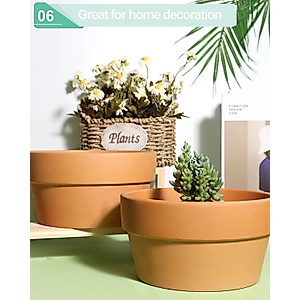 vensovo 8 Inch Terracotta Shallow Succulent Pot - 2 Pack Large Terra Cotta Clay Pot with Saucer, Cacuts Indoor and Outdoor Planters with Drainage Hole