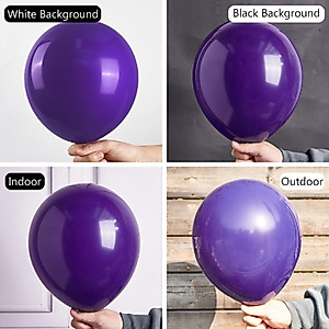 PartyWoo Royal Purple Balloons, 52 pcs 12 Inch Purple Balloons, Latex Balloons for Balloon Garland or Balloon Arch as Birthday Decorations, Wedding Decorations, Baby Shower Decorations, Purple-Y16