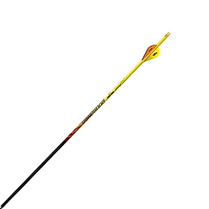 Black Eagle Renegade Fletched Arrows - 6-Pack-250 Spine-.005 +/-