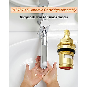 013787-45 Ceramic Cartridge Assembly Fits for T&S Brass Faucets, Pressure 20PSI-125PSI Temperature 40F-140F, Ceramic Cartridge Faucet Filter Replacement - HOT