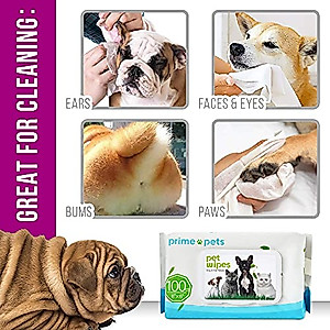 Dog Grooming Wipes, 600 Count 6x8Inch Deodorizing Wipes for Dogs & Cats, 100% Fragrance Free, Natural Pet Wipes for Cleaning Faces Bums Eyes Ears Paws Teeth, Dog Wipes