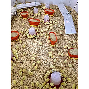 SWEETER HEATER Safe Heater for Chicks, Coops, & Animals, OH11x40, 150 Watt