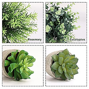CEWOR 4 Pack Small Fake Plants Eucalyptus Rosemary Succulents Plants Artificial in Pots for Shelf Artificial Greenery Eucalyptus Plant Indoor for Home Bedroom Living Room Decoration