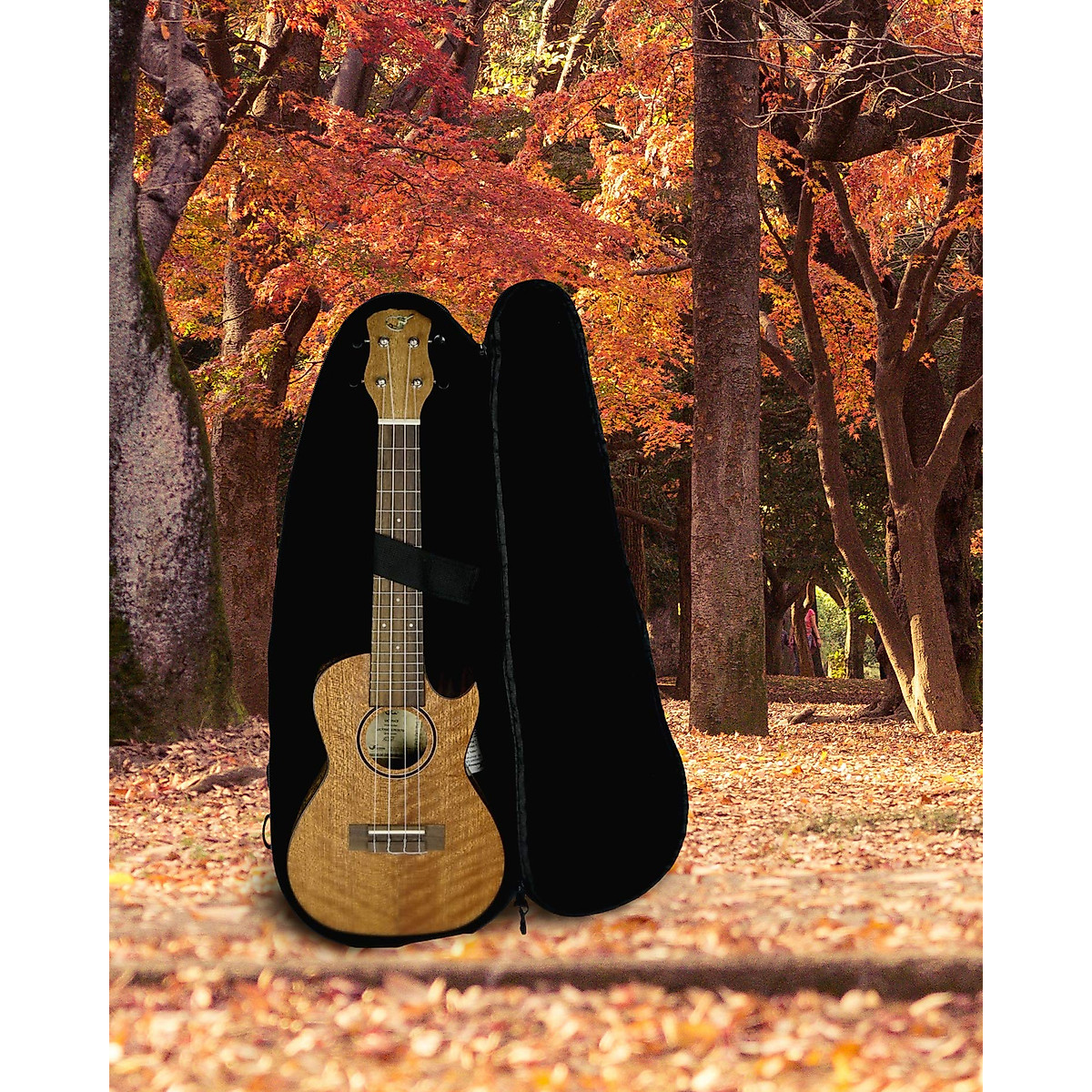 Journey Instruments Meranti Concert Travel Ukulele – UC770CE Traveling Concert-Size Ukulele – Top Best Road Trip Ukulele Musical Instruments – Travel Ukulele Case