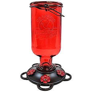 More Birds Elixir Hummingbird Feeder, Vintage Glass Medicine Bottle Hummingbird Feeder for Outdoors, 5 Feeding Stations, 13 Ounces