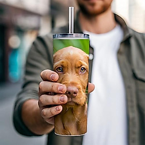 Wirehaired Vizsla Dog Puppy Photo Skinny Tumbler 20oz with Straw Insulated Water Bottle Gift
