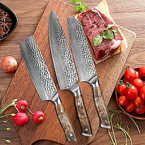 KEIZOKU Damascus Chef Knife, 10Cr15MOV Japanese Kitchen Knives Set with Full Tang G10 Handle, Professional Chef Knife for Kitchen, Sheath & Gift Box (8 Inch Chef Knife)