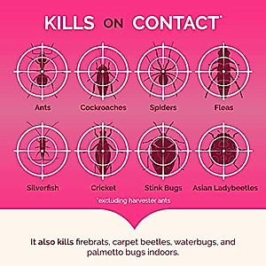 Hot Shot Ant, Roach & Spider Killer, Kills Roaches and Listed Ants On Contact, Indoor & Outdoor Use, (Unscented) 2 Pack, 17.5 Ounce