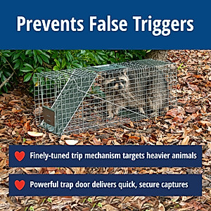 Havahart 1079SR Large 1-Door Humane Catch and Release Live Animal Trap for Raccoons, Cats, Bobcats, Beavers, Small Dogs, Groundhogs, Opossums, Foxes, Armadillos, and Similar-Sized Animals