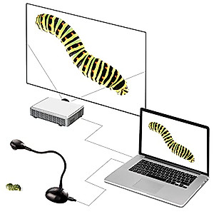 HUE HD portable USB camera (Black)