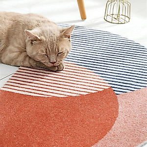 THRILRUG Half Round Inside Door Mats for Front Door, 17"x28" Entryway Rug Boho Door Mat,Half Circle Cute Welcome Mat for Entrance,Semicircle Mud Dirt Trapper Non-Slip Low-Profile