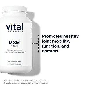Vital Nutrients - MSM - Natural Form of Organic Sulfur - 240 Vegetarian Capsules per Bottle - 1000 mg