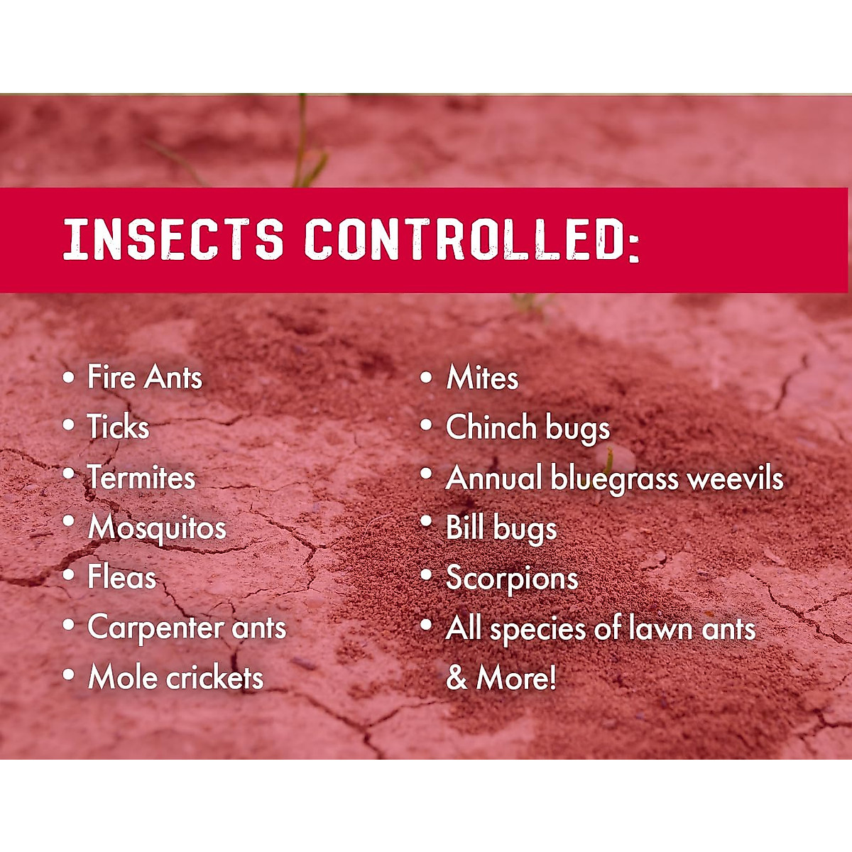7.9% Bifenthrin Insecticide - 16 Ounces - (Compare to Leading Brands) – Professional Insect Control - Kills on Contact - Fire Ants, Ticks & More