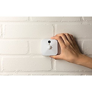 Blink Yard Sign with Two Window Decals Bundle