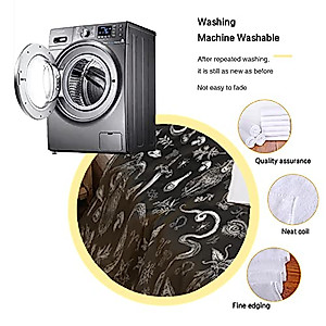 Halloween Gothic Blanket Decoration Fleece Lightweight Throws Gift for Birthday Christmas Soft Flannel Blankets for All Season Bed Home Bedroom Living Room Sofa 50*60 Inches